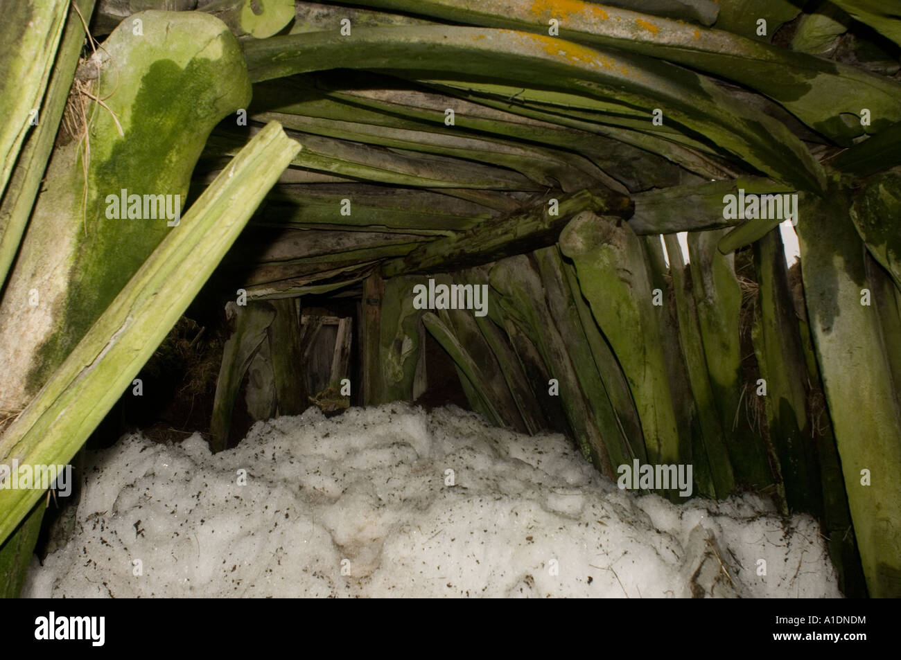 Whale Bone Sod House Reykjavik – Enclos*ure