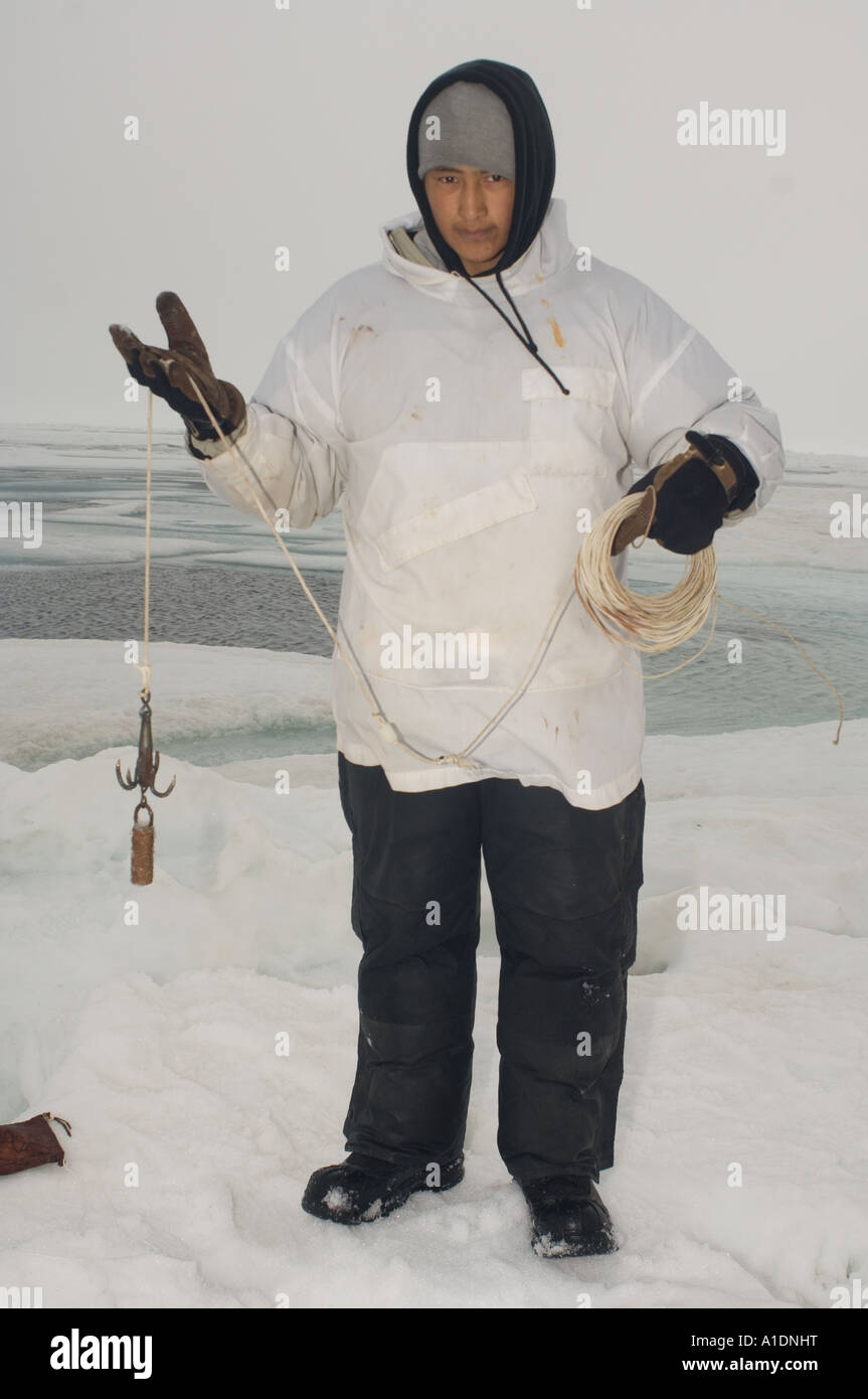 Seal caught netting or plastic water hi-res stock photography and ...