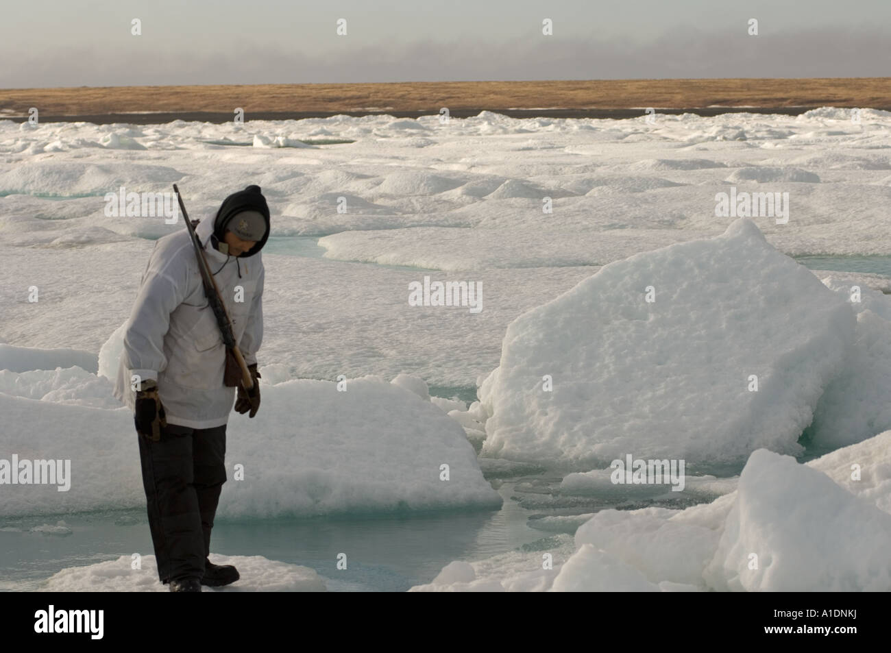 inupiat seal hunter along the Arctic coast off Point Hope Alaska ...