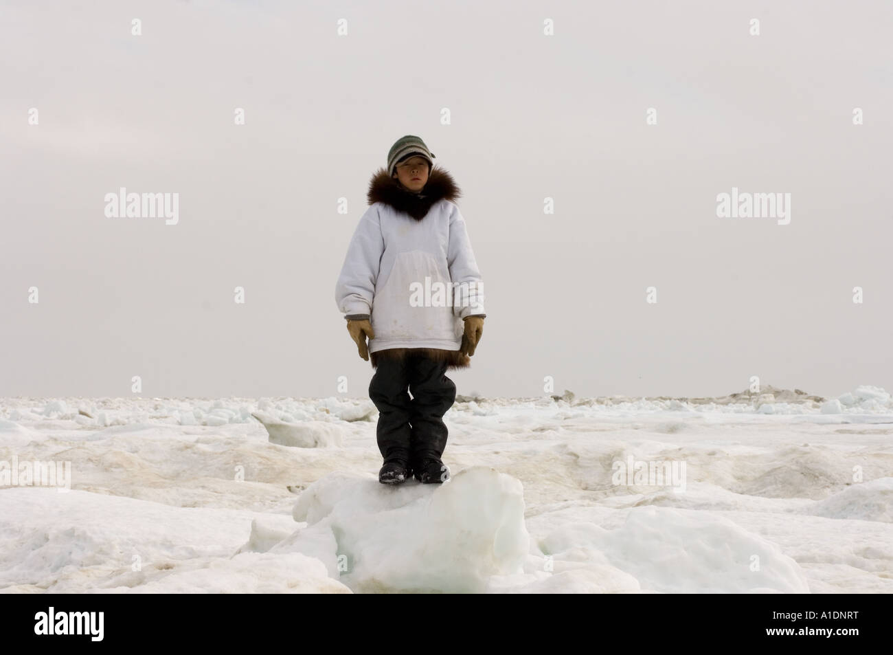 young Inupiat seal hunter on the pack ice along the Arctic coast off ...