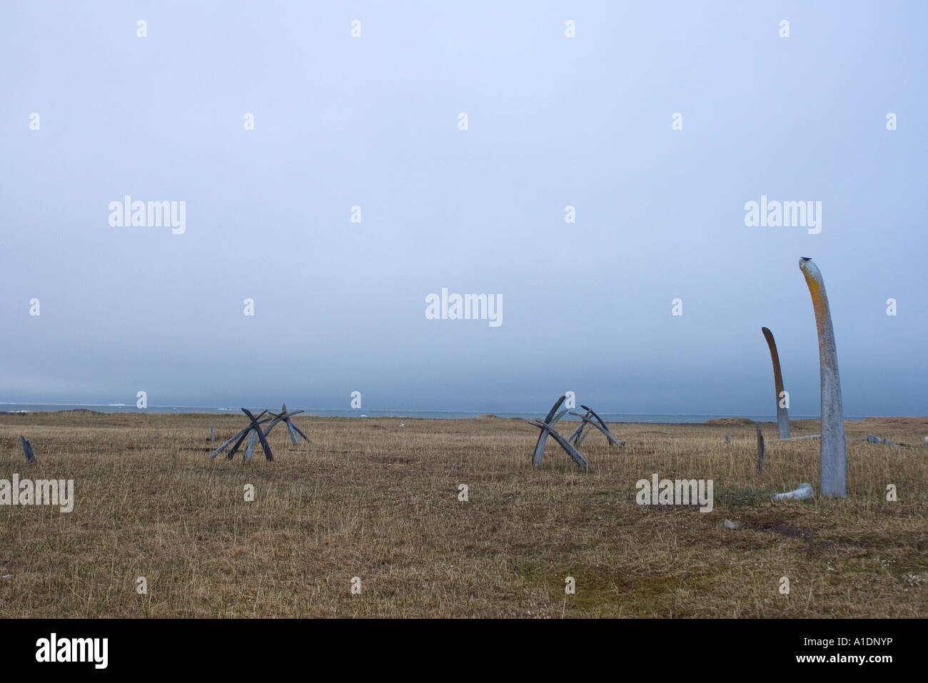 graveyard marked by whale rib bones outside the oldest Inupiat village ...