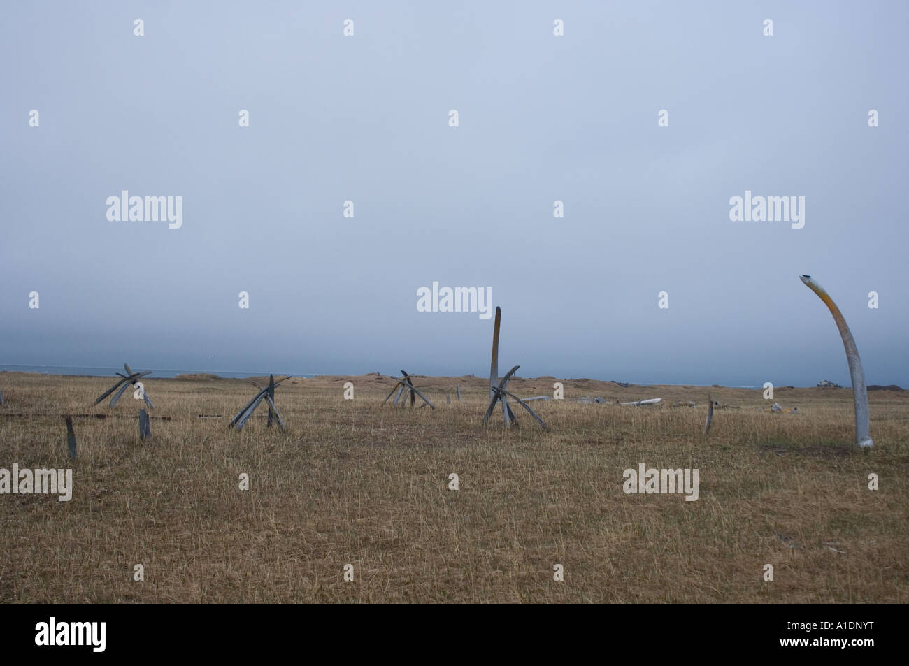 graveyard marked by whale rib bones outside the oldest Inupiat village ...