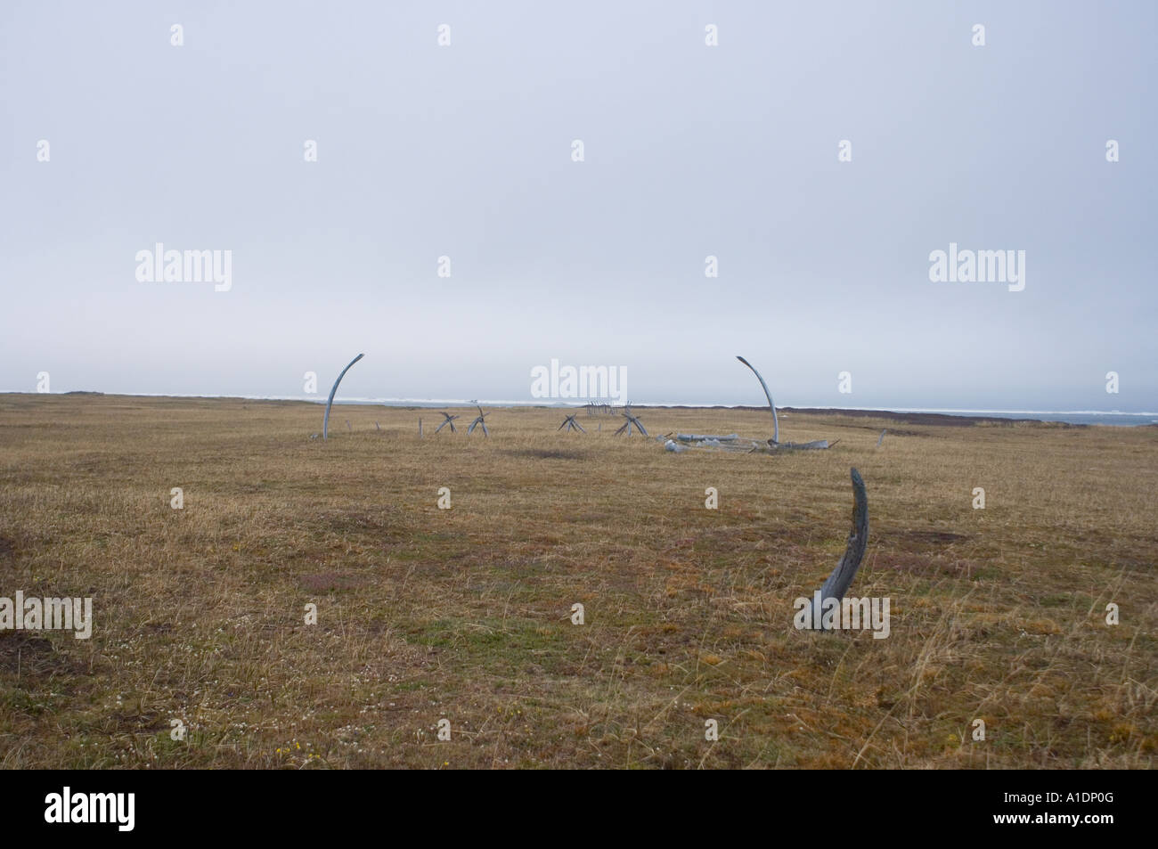 graveyard marked by whale rib bones outside the oldest Inupiat village ...