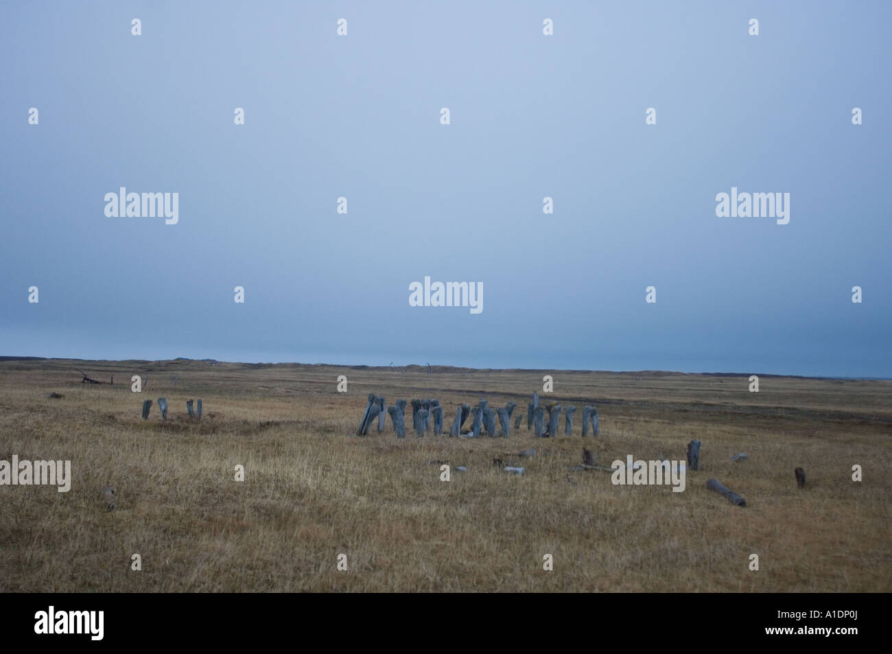 whale bones outside the oldest Inupiat village of Point Hope Arctic ...