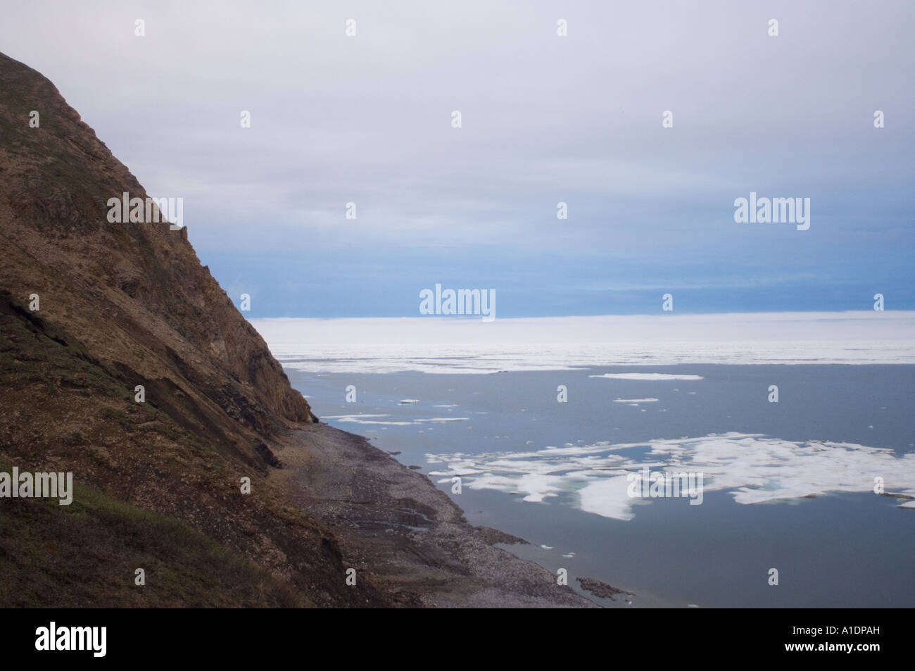looking out at the Arctic ocean from Cape Thompson at sunrise 26 miles ...