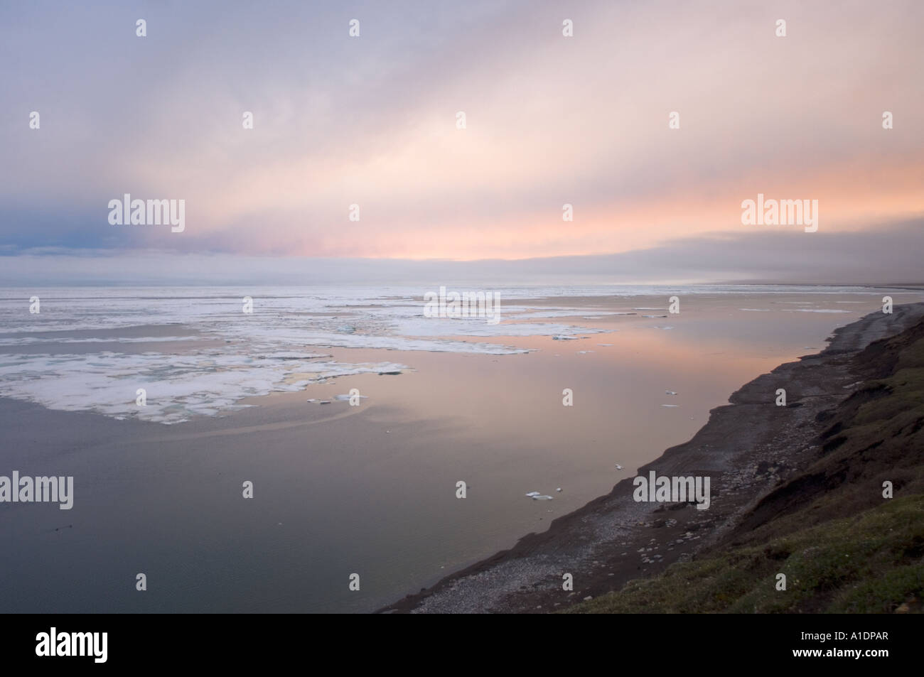 summer breakup along Cape Thompson at sunrise Alaska Maritime National ...