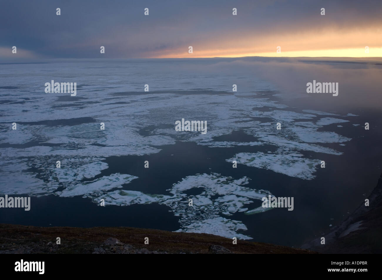 looking out at the Arctic ocean from Cape Thompson at sunrise 26 miles ...