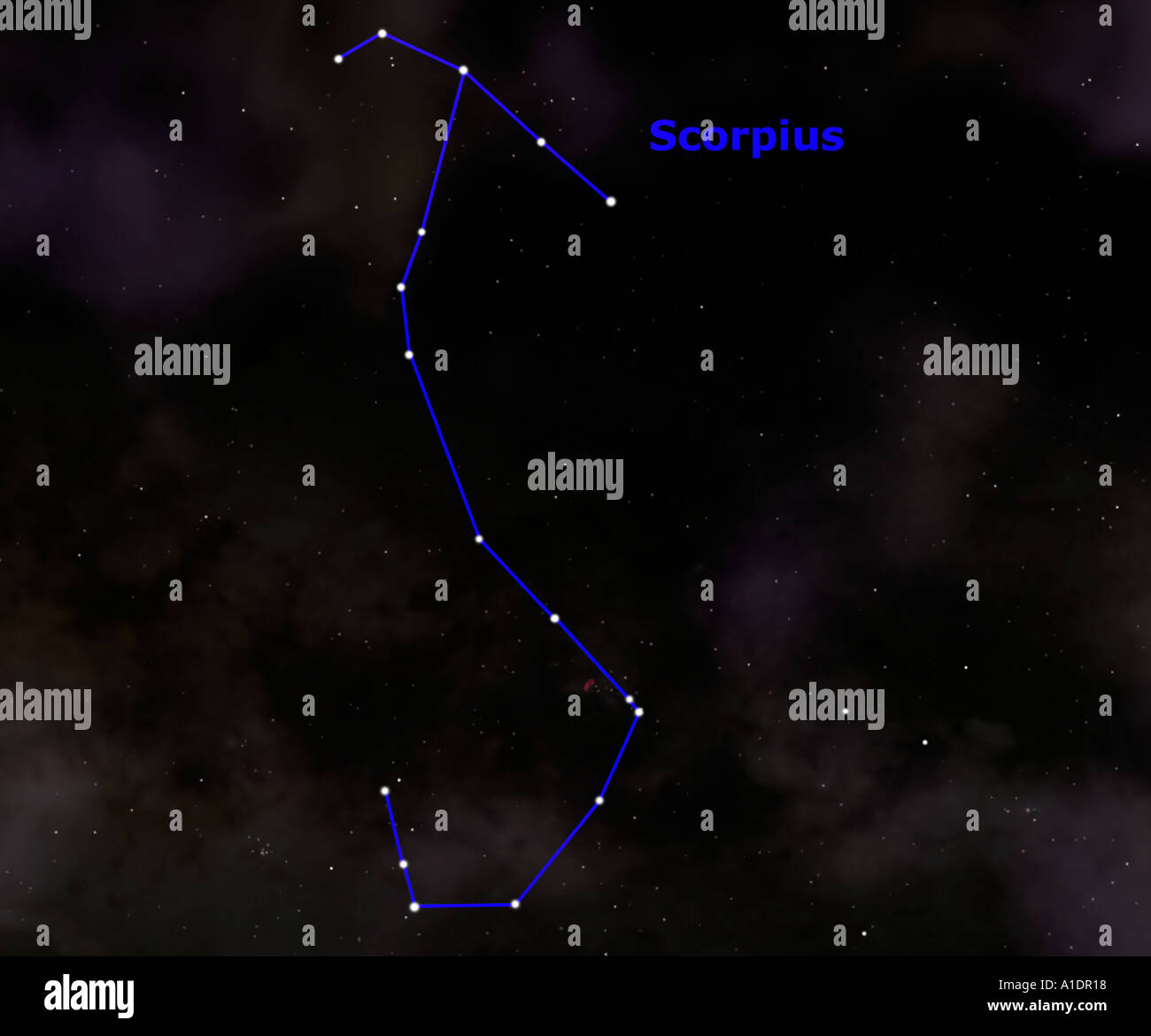 Constellation scorpius hi-res stock photography and images - Alamy