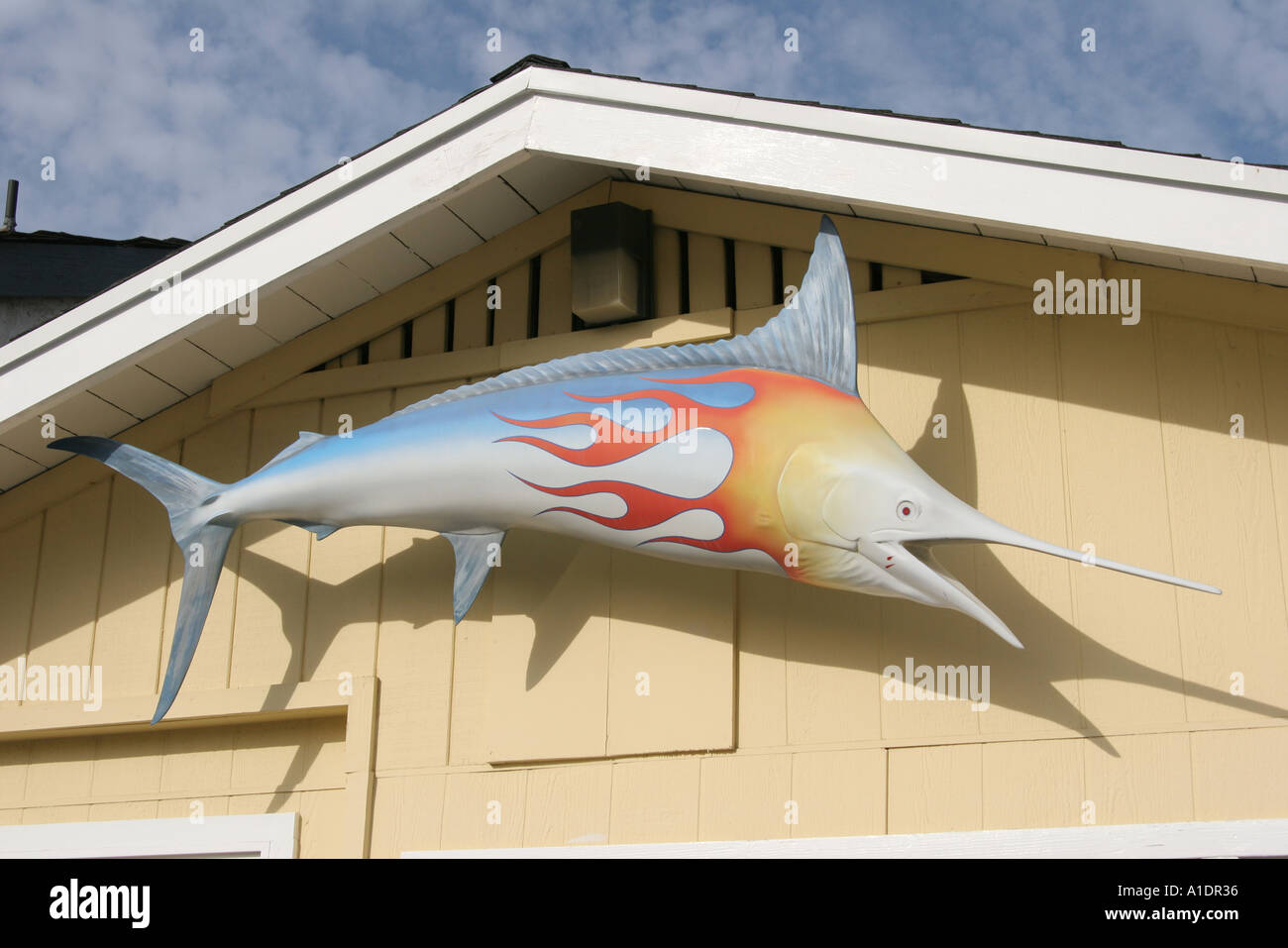 Newport Beach California,Balboa Peninsula,customized trophy sailfish ...