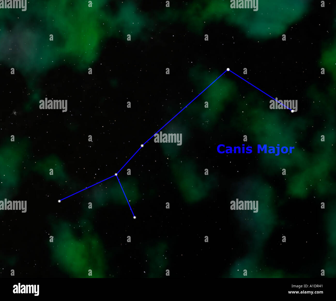 Canis major constellation hi-res stock photography and images - Alamy