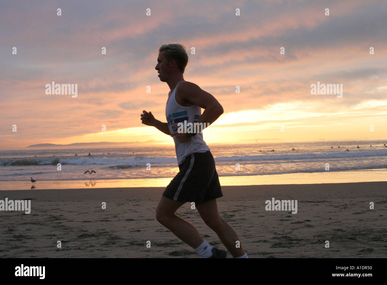 Newport Beach California,Balboa Peninsula,adult adults man men male ...