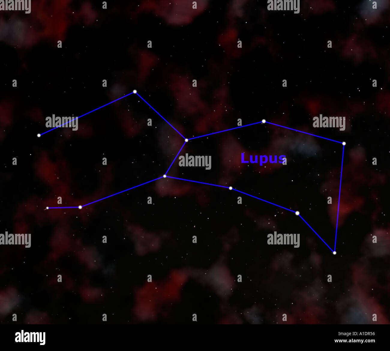 Lupus Constellation Showing Name And Sign Stock Photo - Alamy