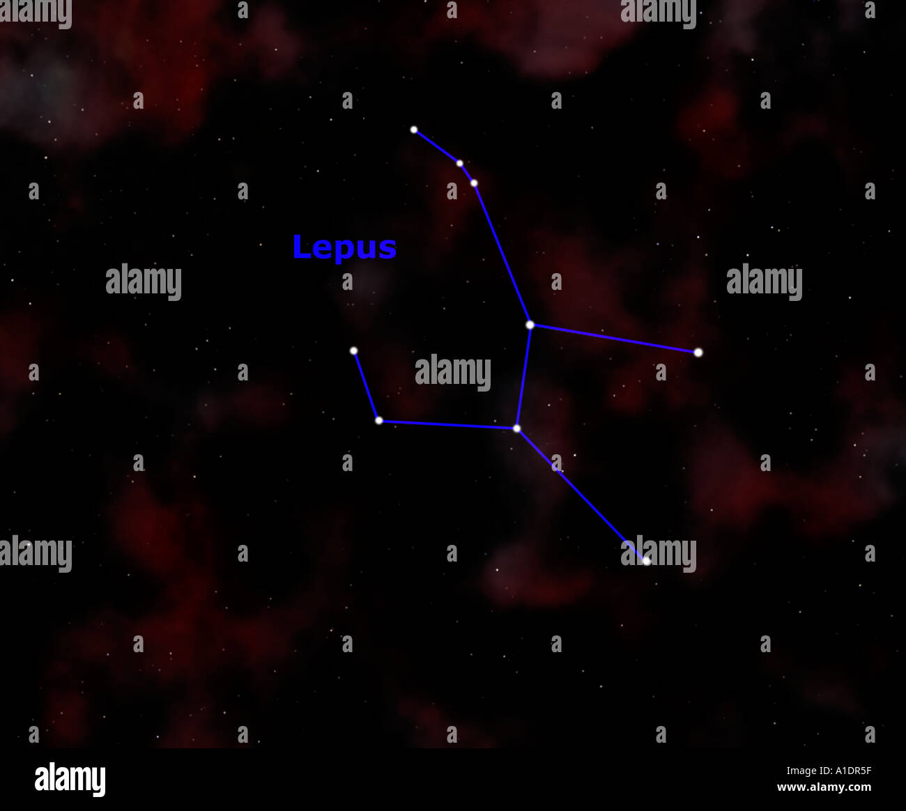 Lepus constellation hi-res stock photography and images - Alamy