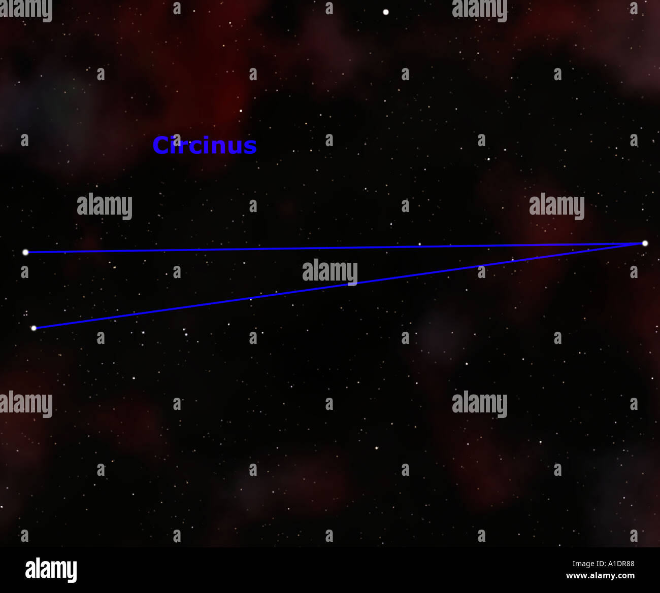 Circinus hi-res stock photography and images - Alamy