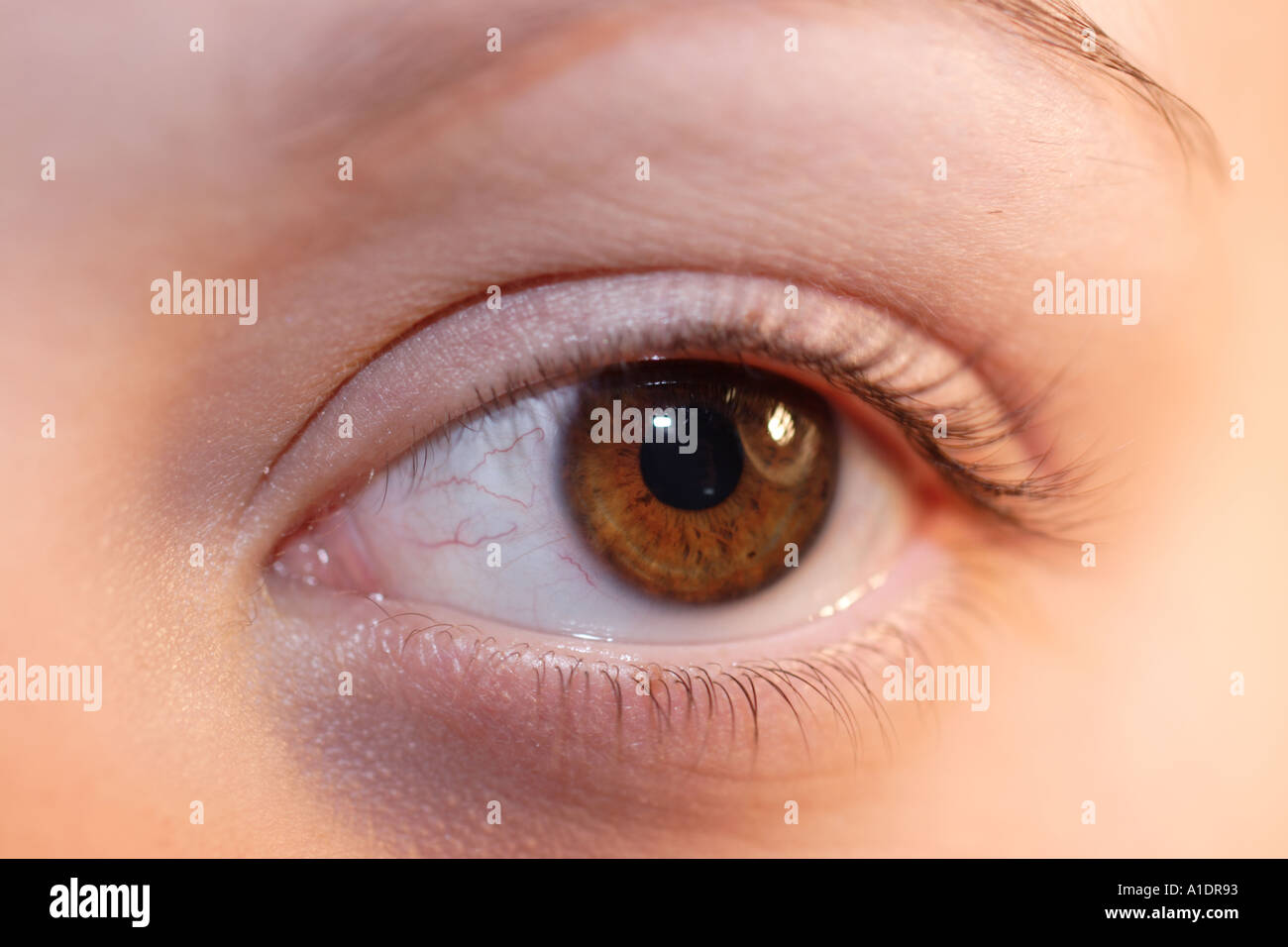 CLOSE UP OF AN EYE Stock Photo - Alamy