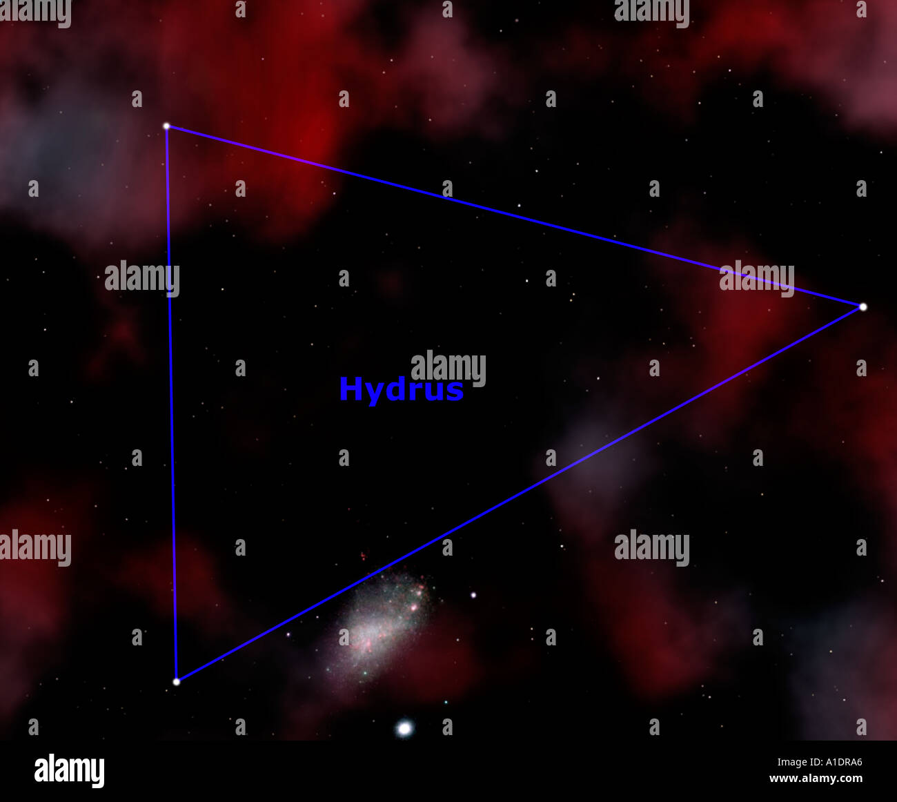 Hydrus Constellation Symbol