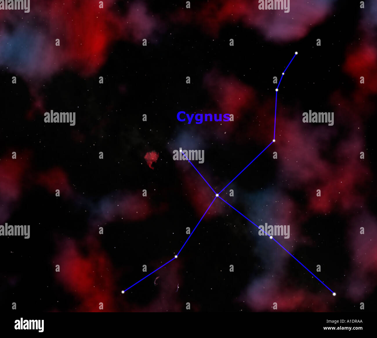 Cygnus constellation hi-res stock photography and images - Alamy