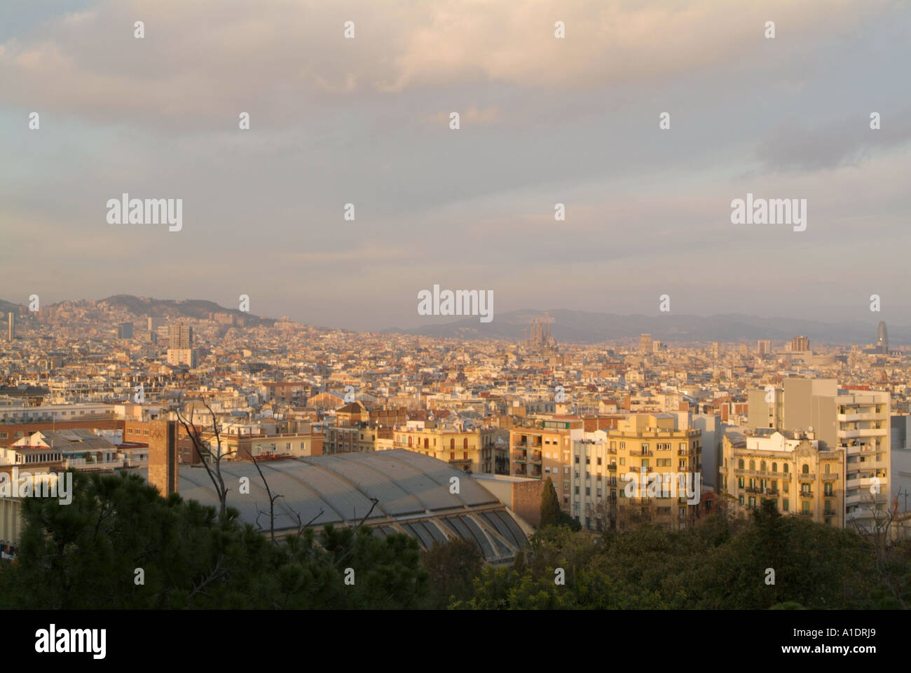 view, across, Barcelona, city, Spain, Spanish, capital, espanol ...