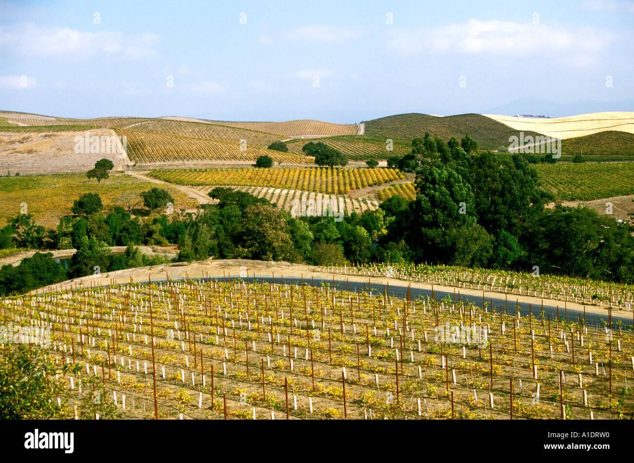 Artesa winery hi-res stock photography and images - Alamy