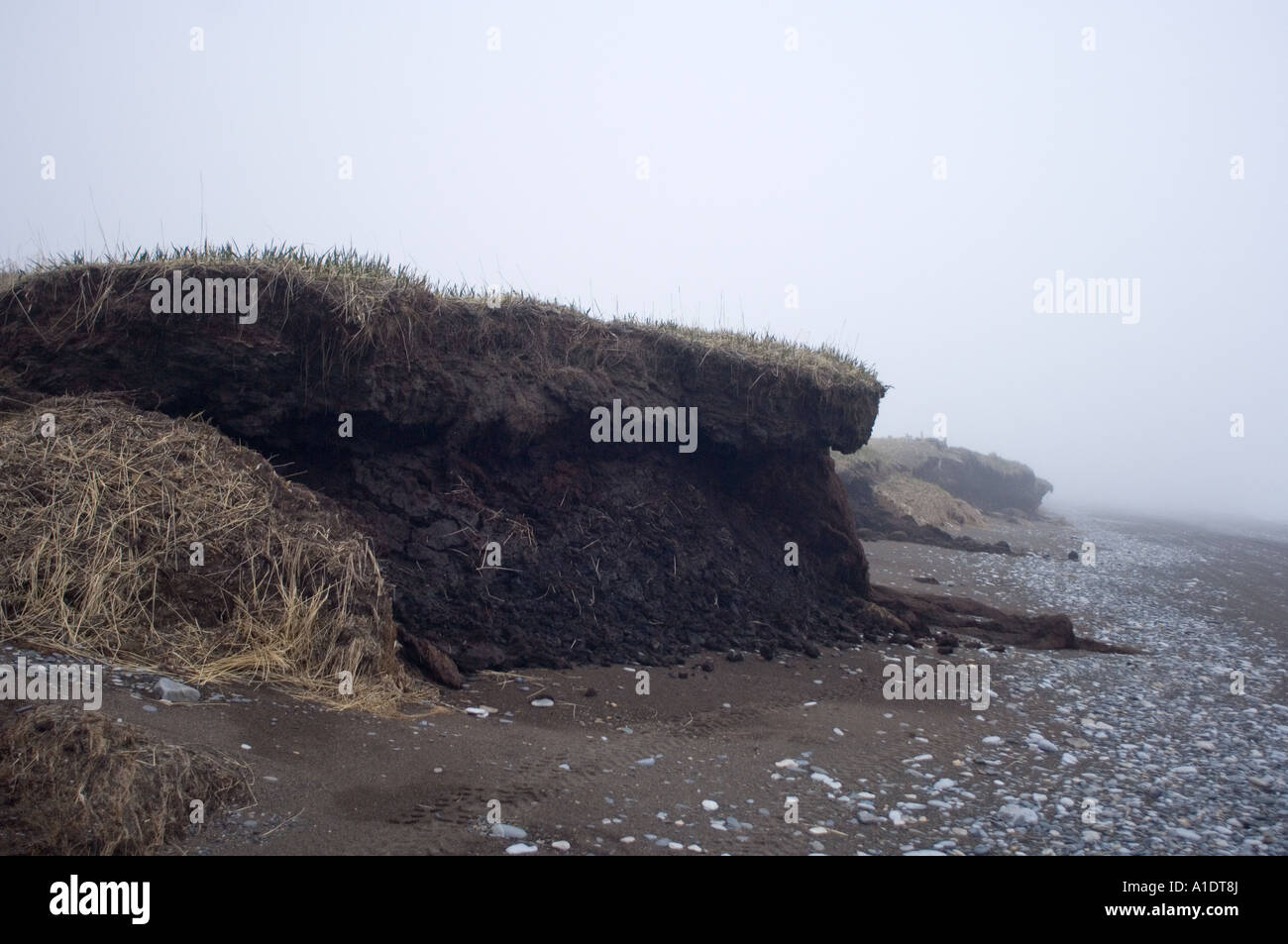 tundra soil erosion along a beach 15 miles from Point Hope National ...