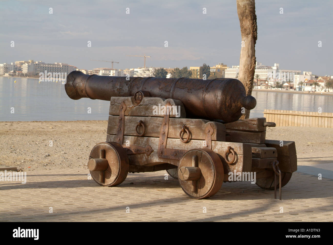 canon, gunpowder, powder, gun, defence, palm, tree, cannonball, defend ...