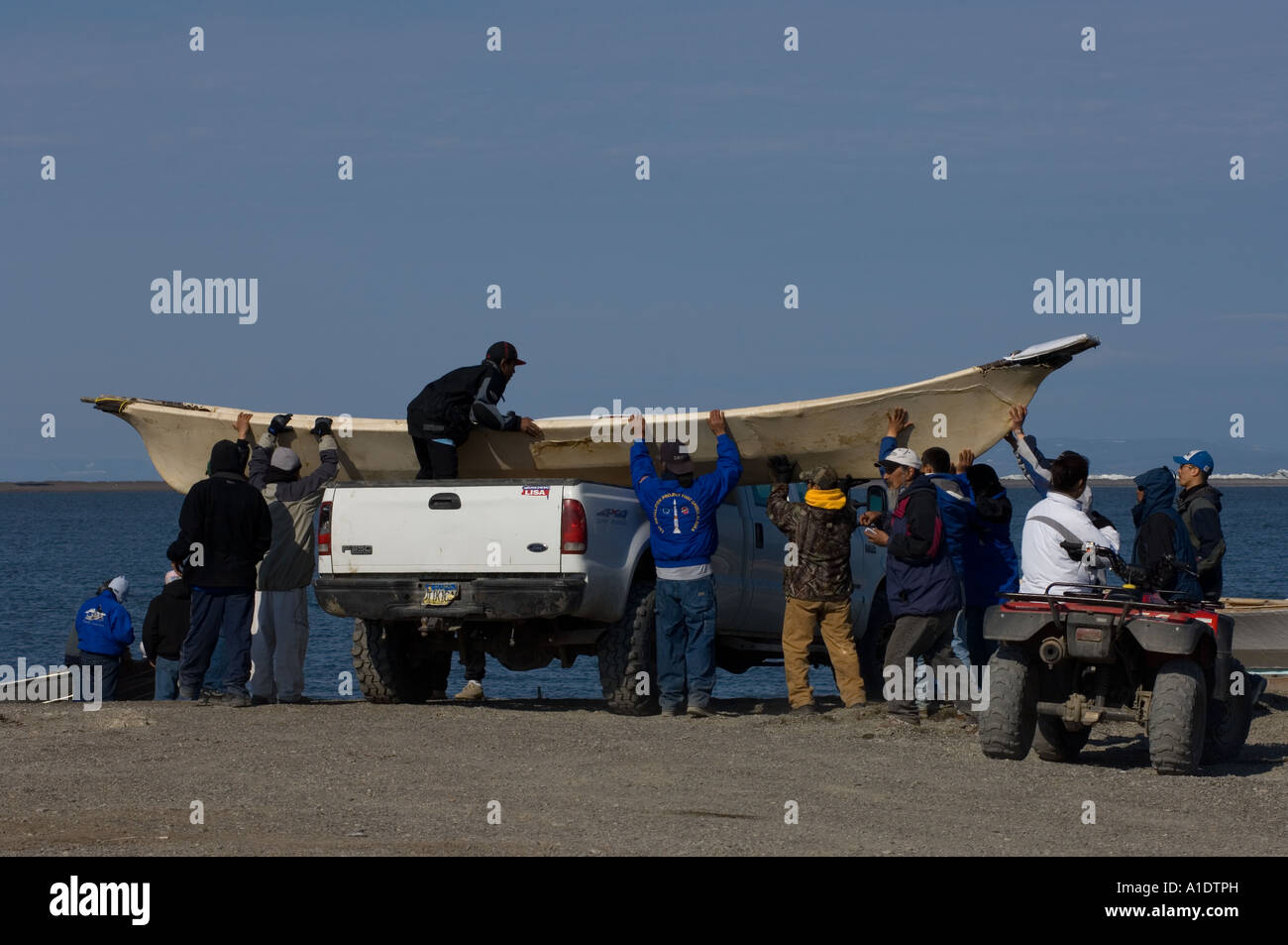 fourth of July umiak skin boat races Arctic coast off Tikigaq Point ...