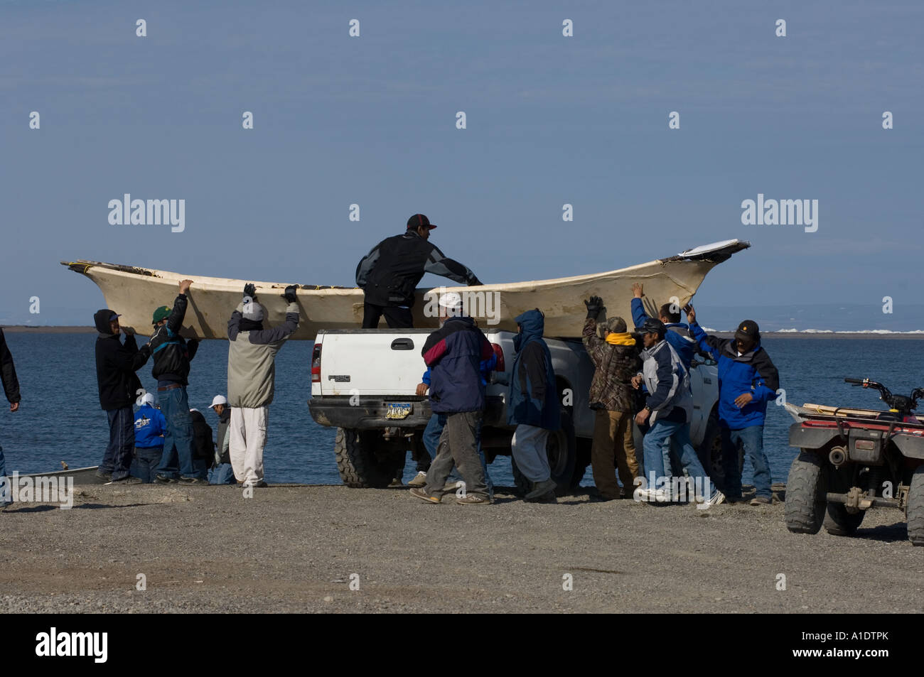 fourth of July umiak skin boat races Arctic coast off Tikigaq Point ...