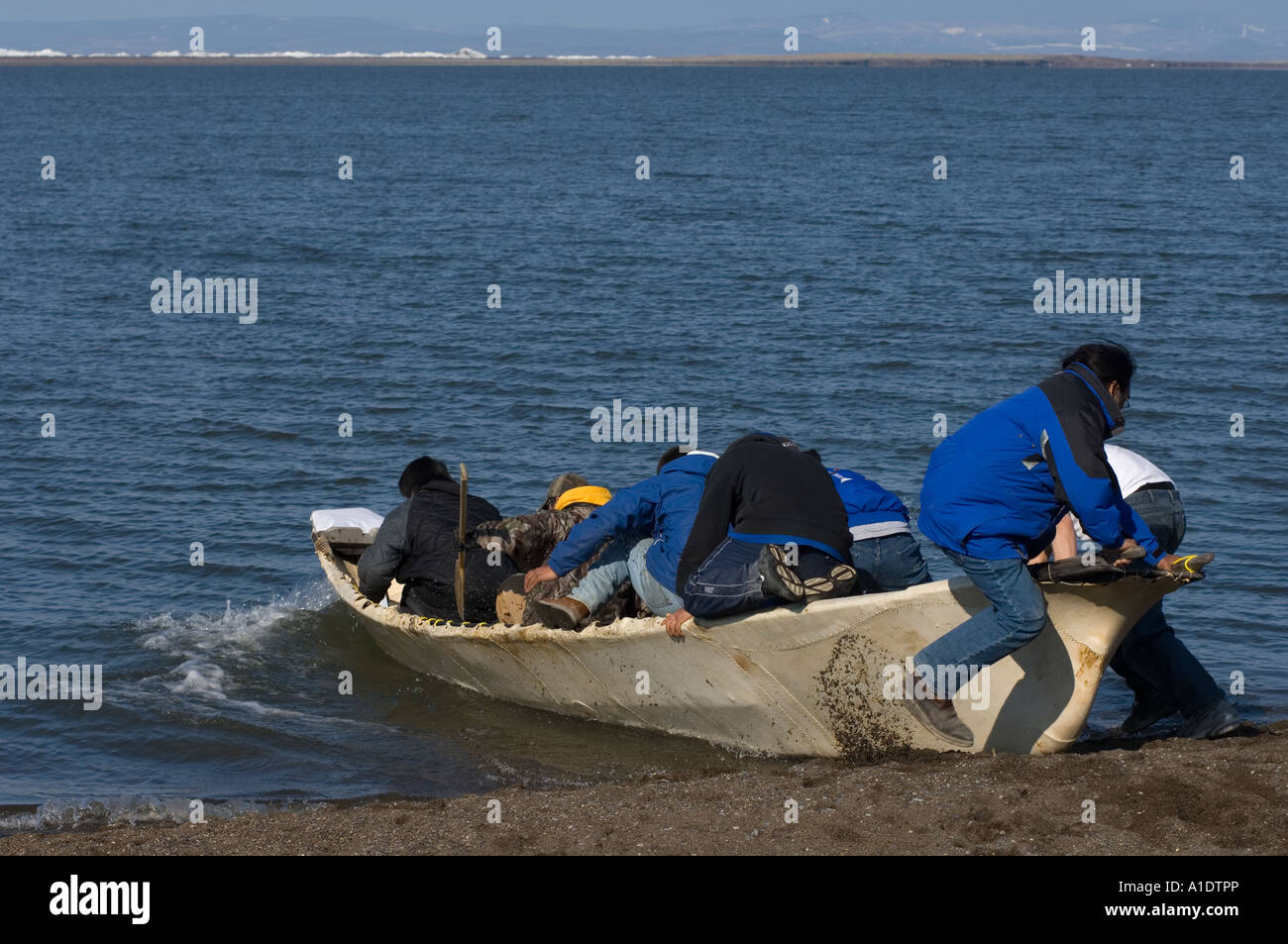 fourth of July umiak skin boat races Arctic coast off Tikigaq Point ...
