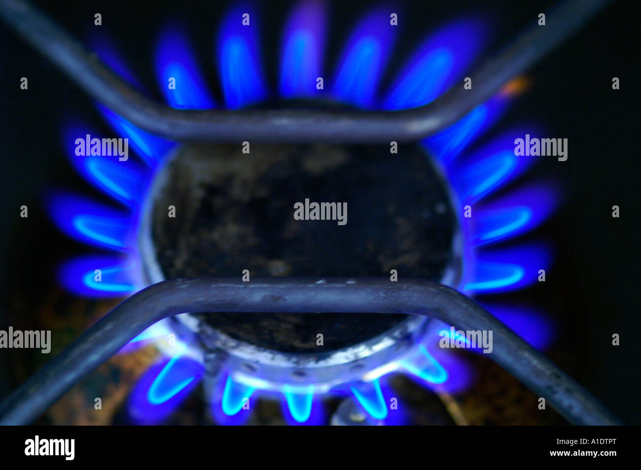 Blue gas flame in kitchen burner Stock Photo - Alamy