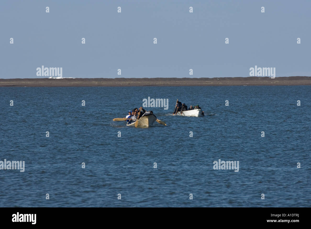 fourth of July umiak skin boat races Arctic coast off Tikigaq Point ...