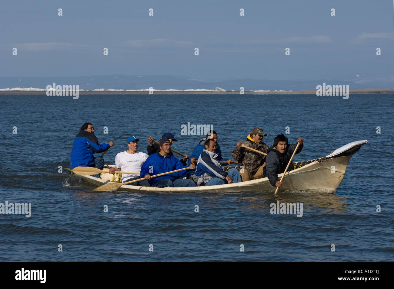 fourth of July umiak skin boat races Arctic coast off Tikigaq Point ...