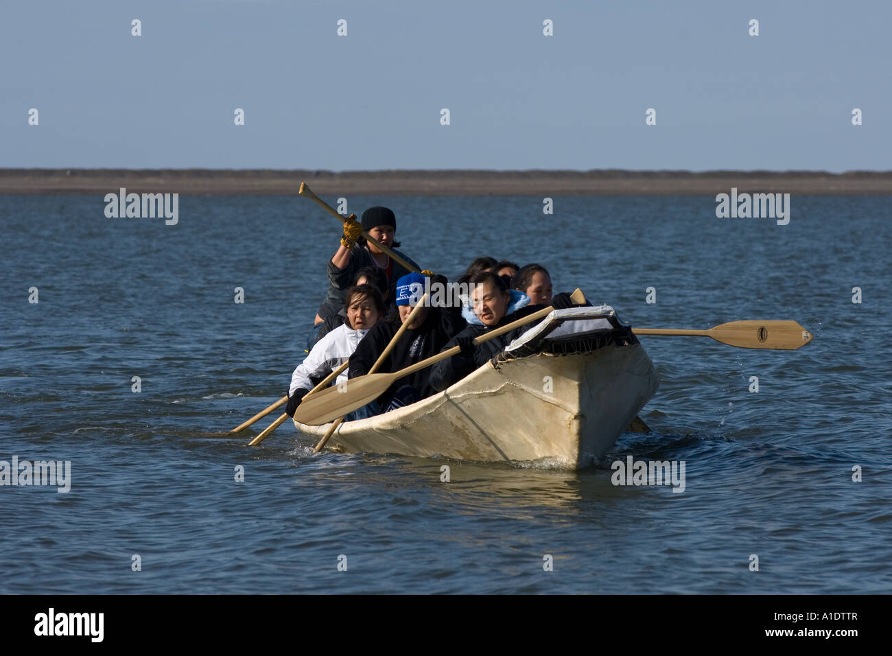 fourth of July umiak skin boat races Arctic coast off Tikigaq Point ...
