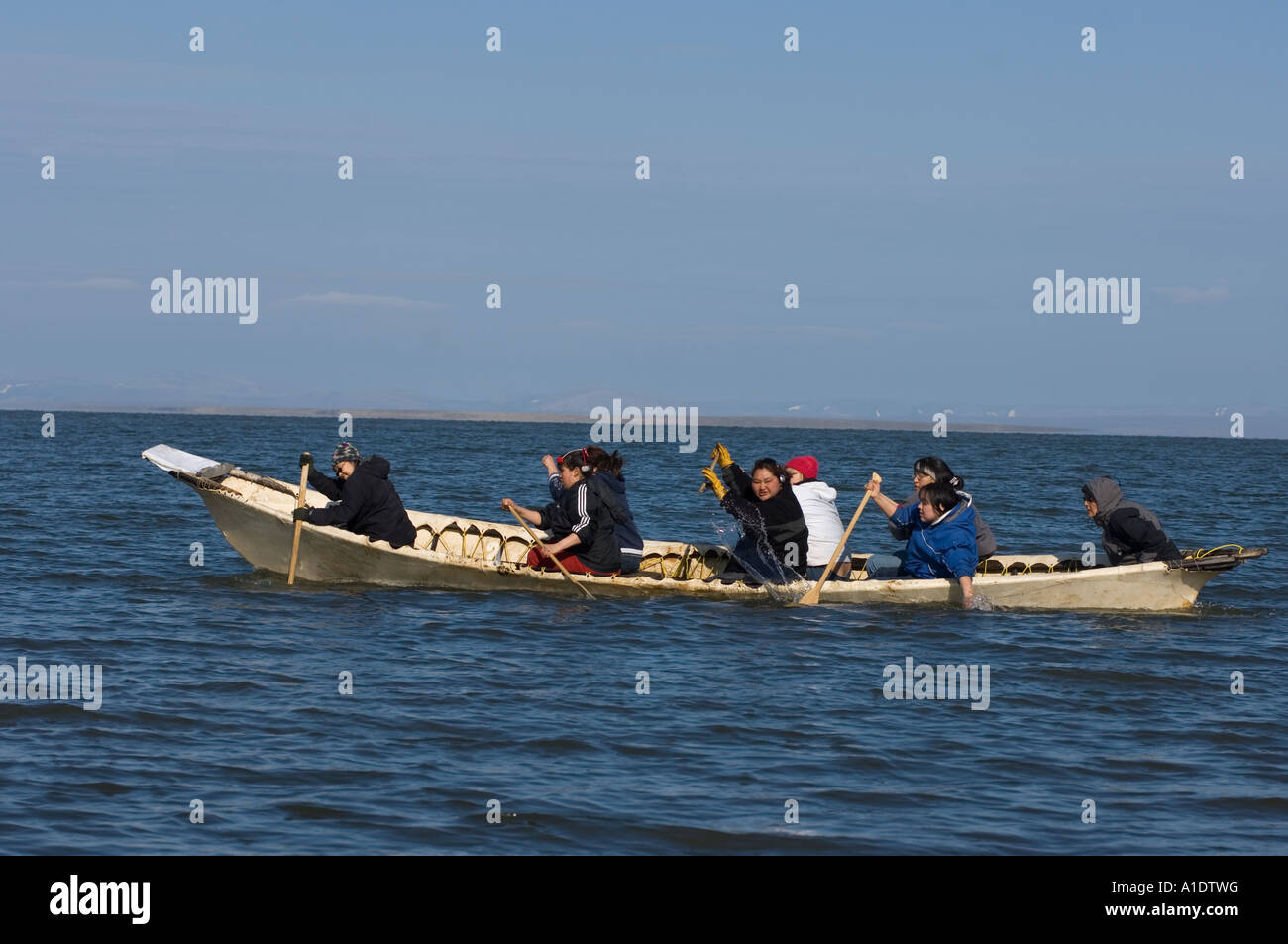 fourth of July umiak skin boat races Arctic coast off Tikigaq Point ...