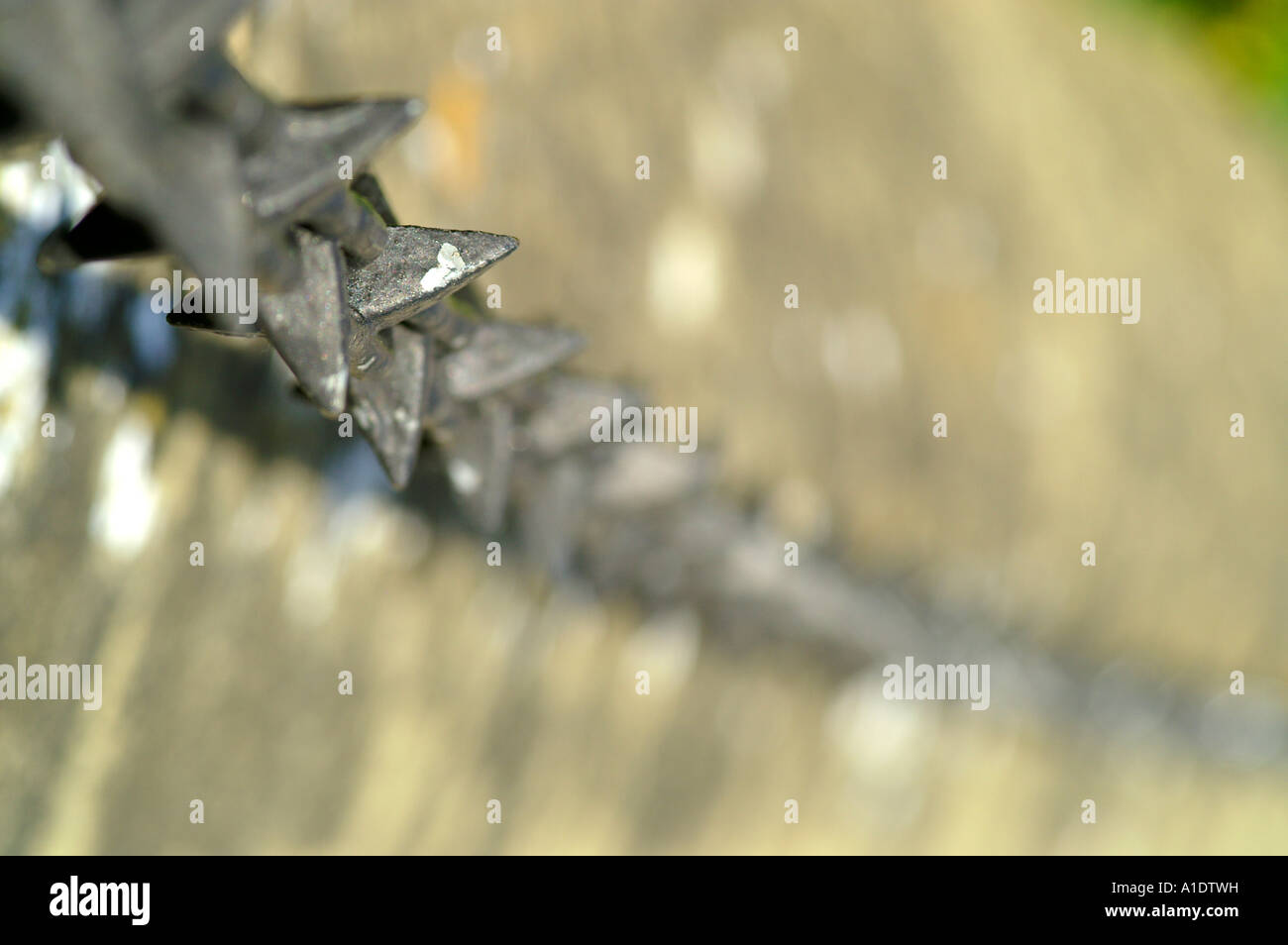 Spike chain hi-res stock photography and images - Alamy