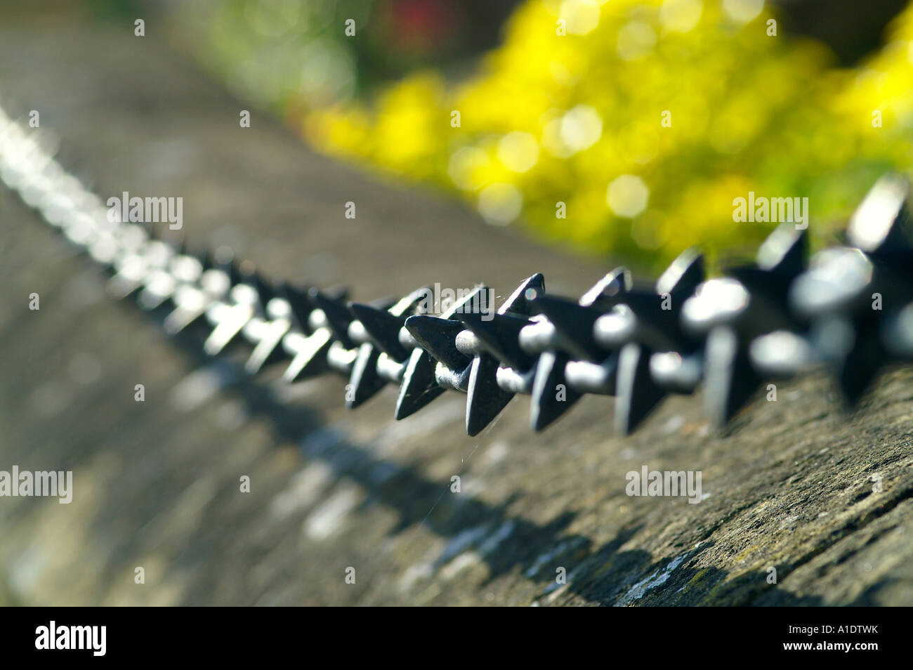 Spiked iron chain hung above stone wall fence with shallow depth of ...