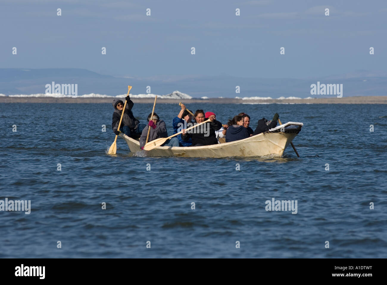 fourth of July umiak skin boat races Arctic coast off Tikigaq Point ...