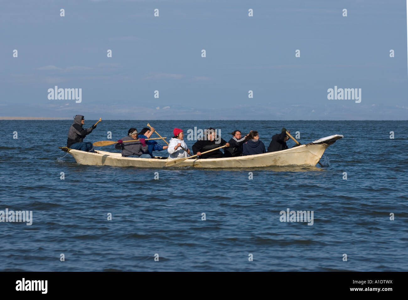 fourth of July umiak skin boat races Arctic coast off Tikigaq Point ...