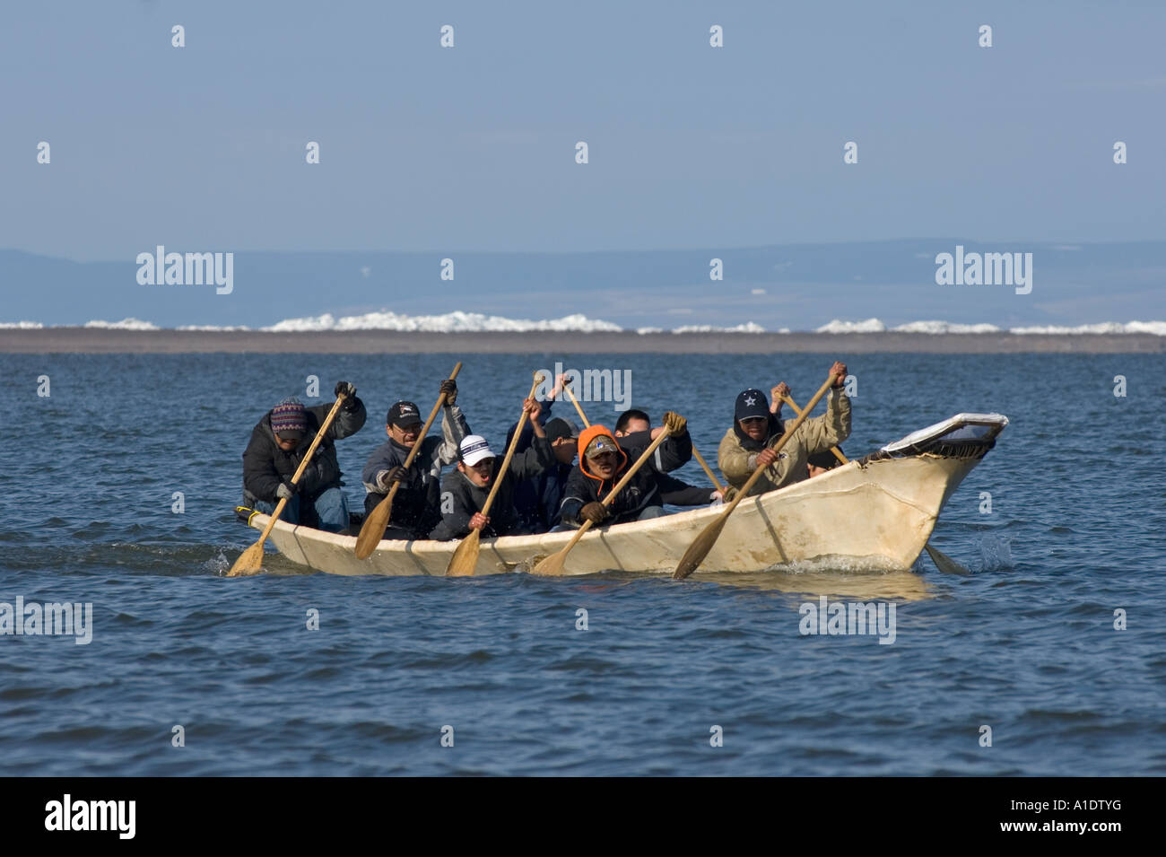 fourth of July umiak skin boat races Arctic coast off Tikigaq Point ...