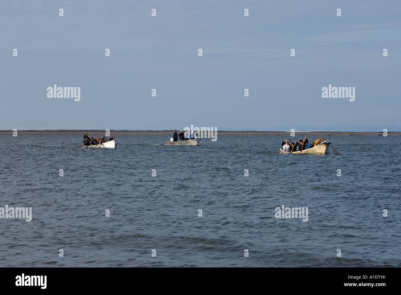 fourth of July umiak skin boat races Arctic coast off Tikigaq Point ...