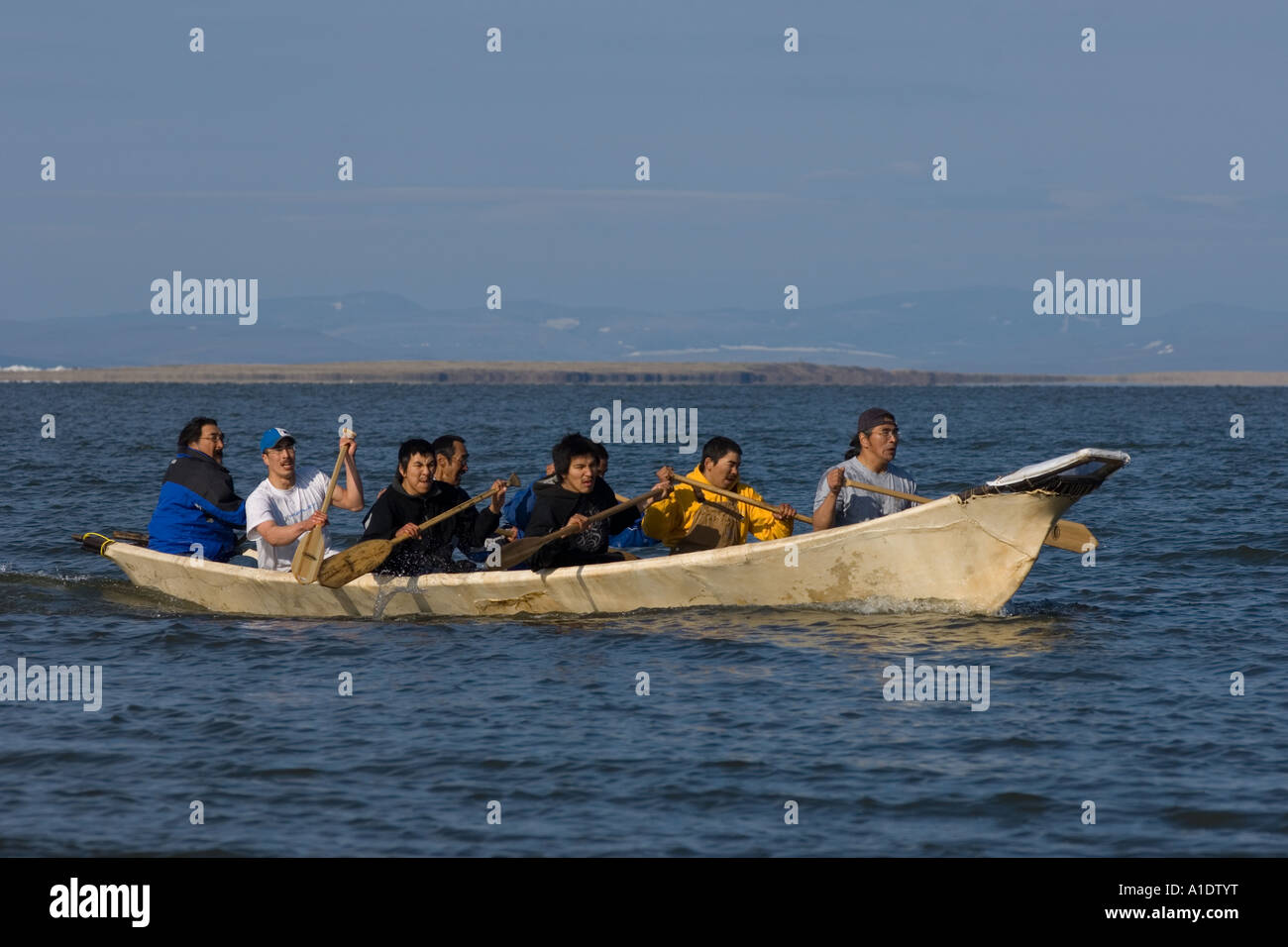 fourth of July umiak skin boat races Arctic coast off Tikigaq Point ...