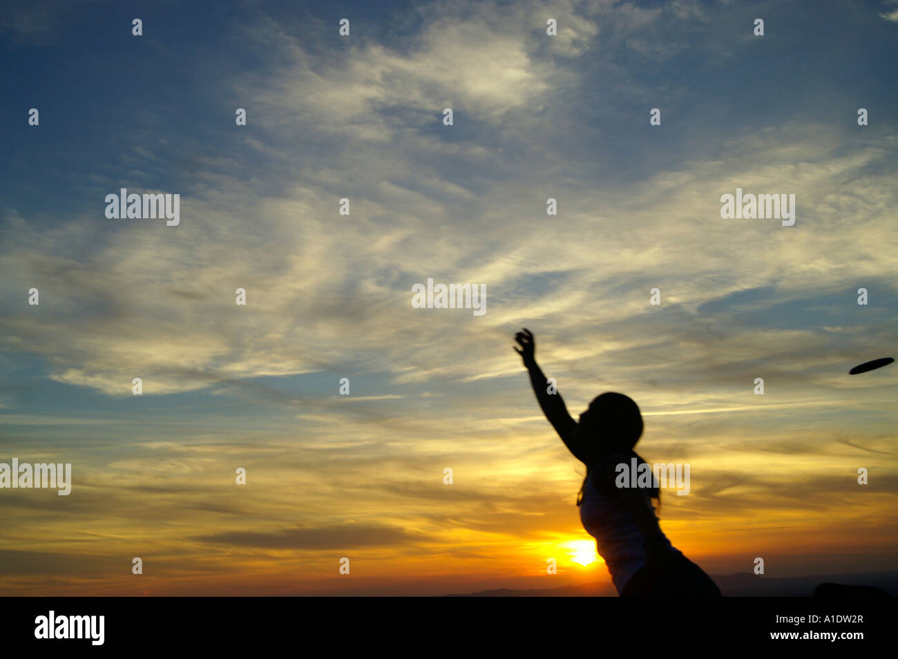 Throwing frisbee silhouette hi-res stock photography and images - Alamy