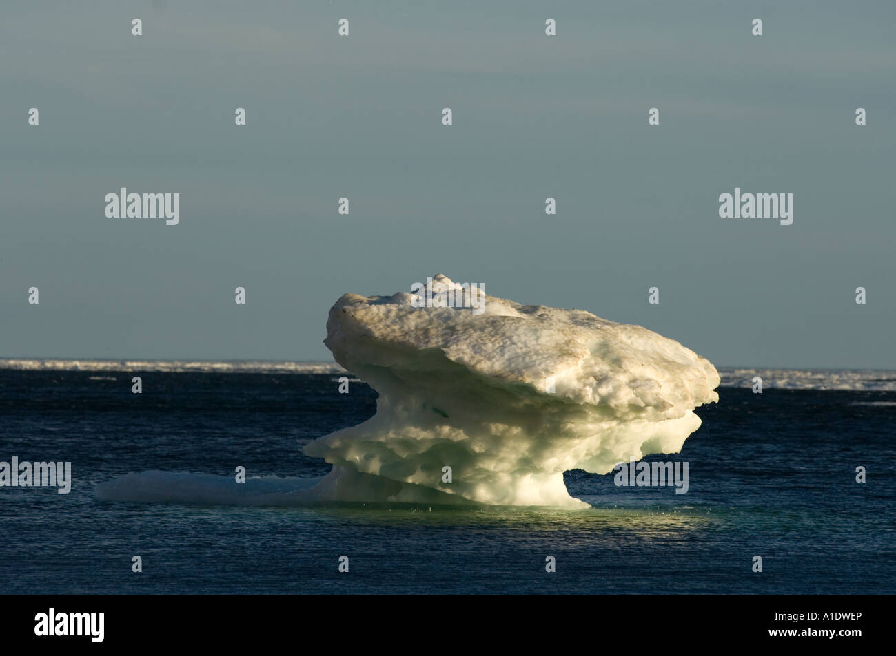 Alaska maritime nwr hi-res stock photography and images - Alamy