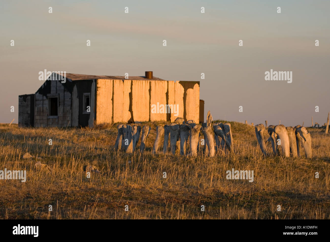 remnants of sod houses framed out of whale bones in the oldest Inupiat ...