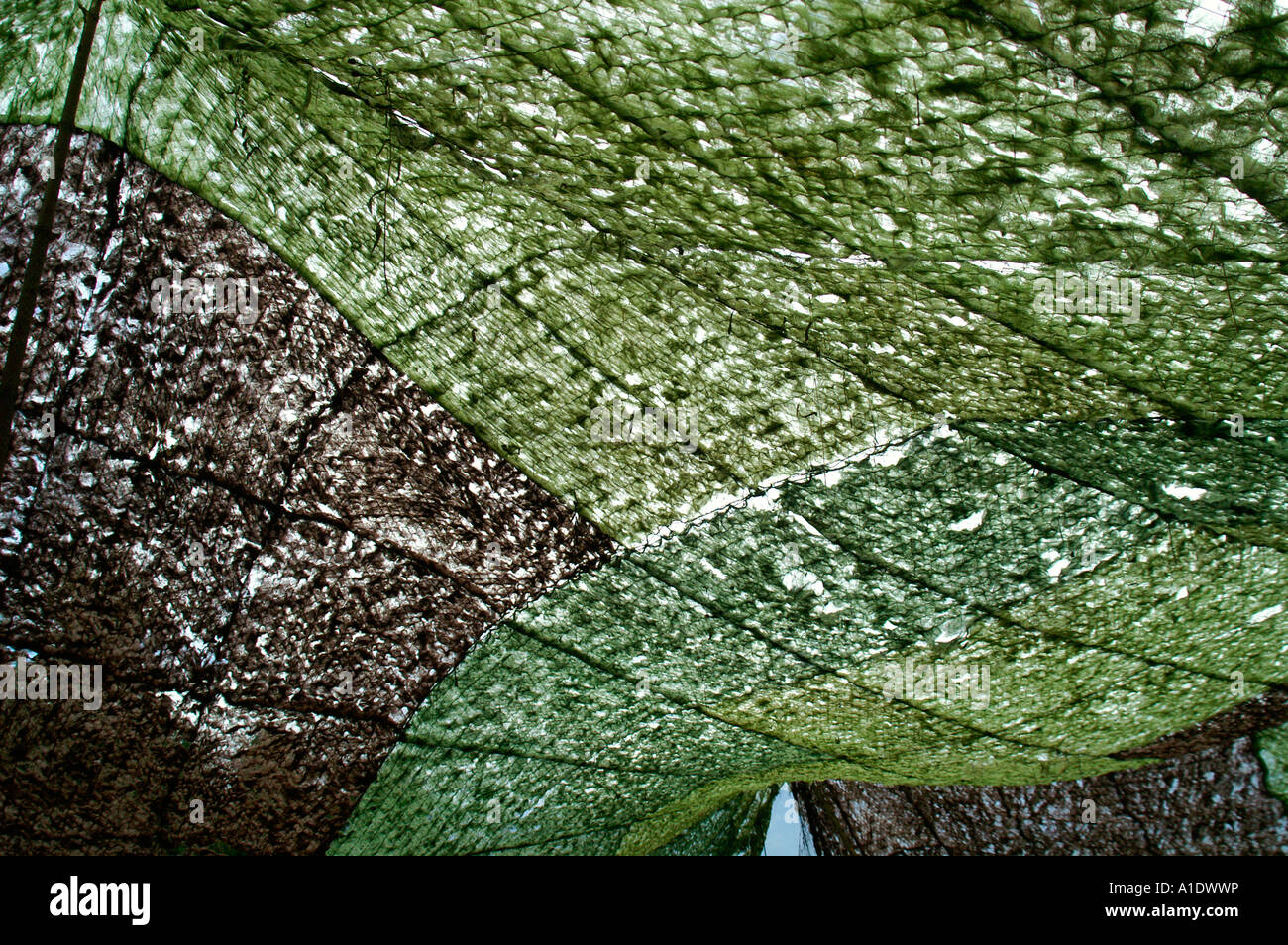 Military camouflage net tent Stock Photo - Alamy