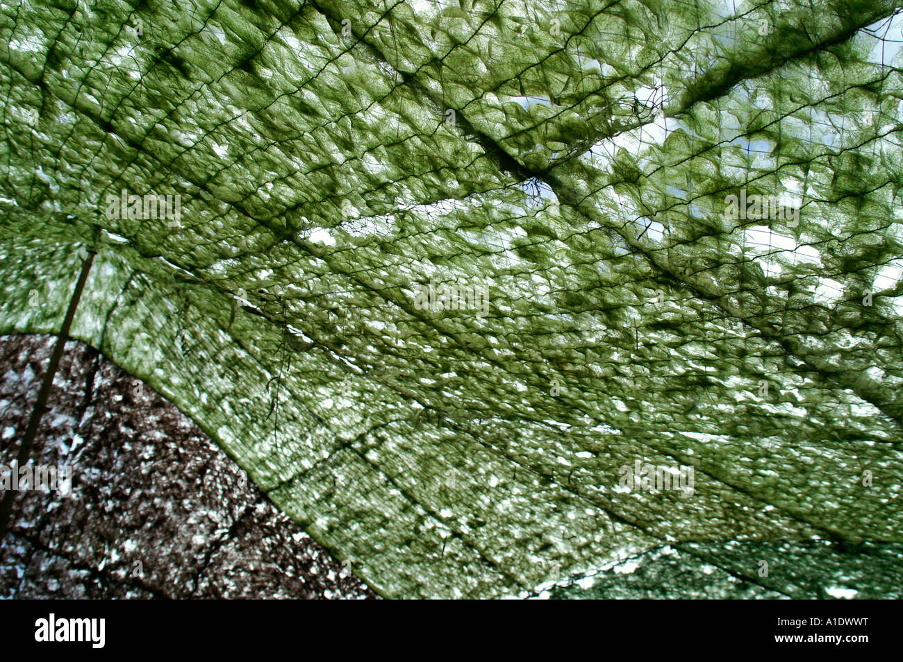 Military camouflage net tent Stock Photo - Alamy
