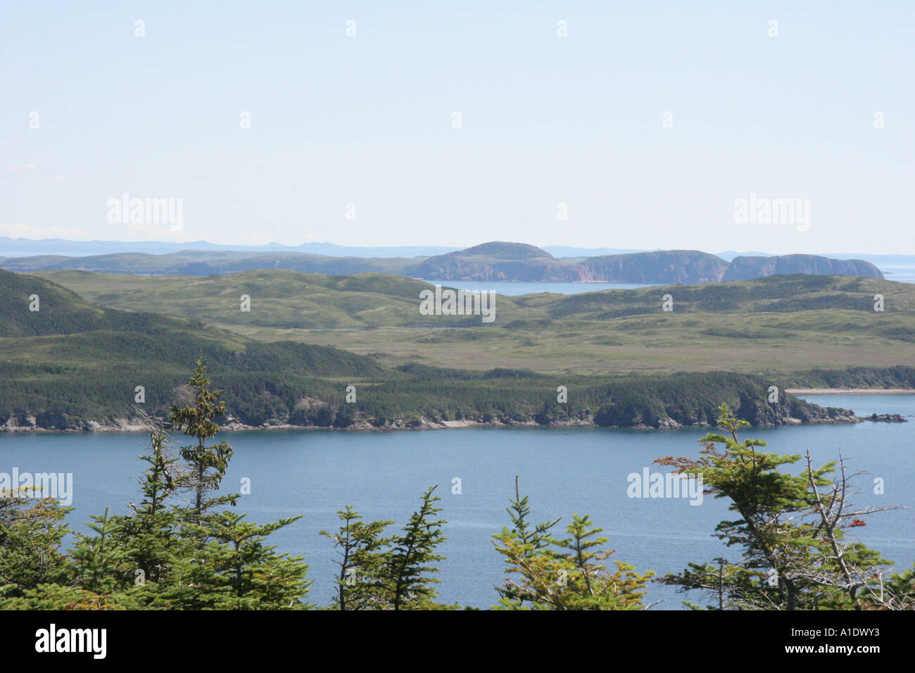 View Looking East from Gun Hill, Harbour Breton, Newfoundland Stock ...