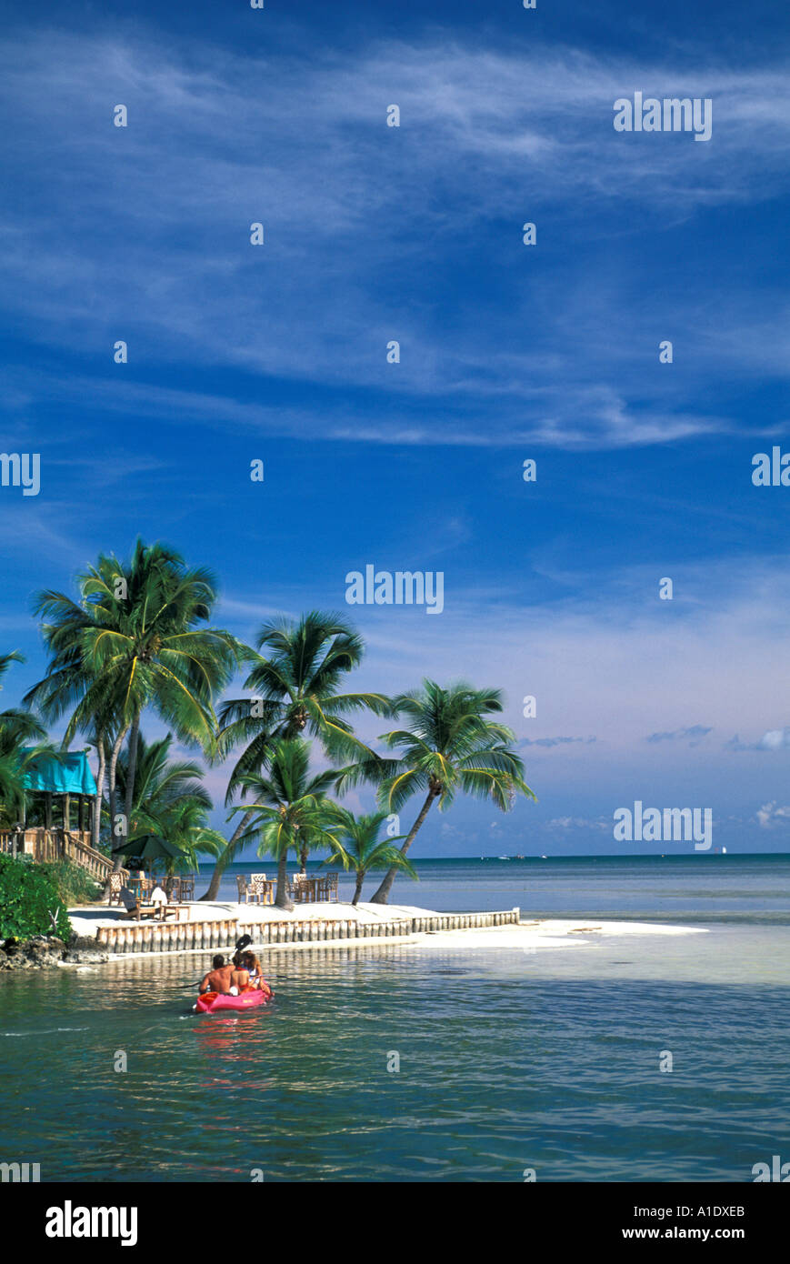 Little Palm Island classic tropical beach palm trees kayaking Florida ...