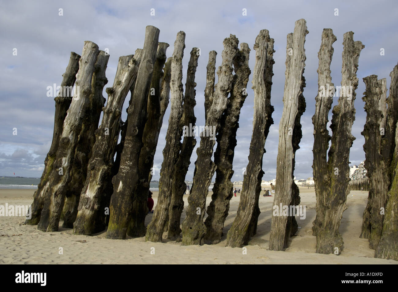 Stakes driven hi-res stock photography and images - Alamy