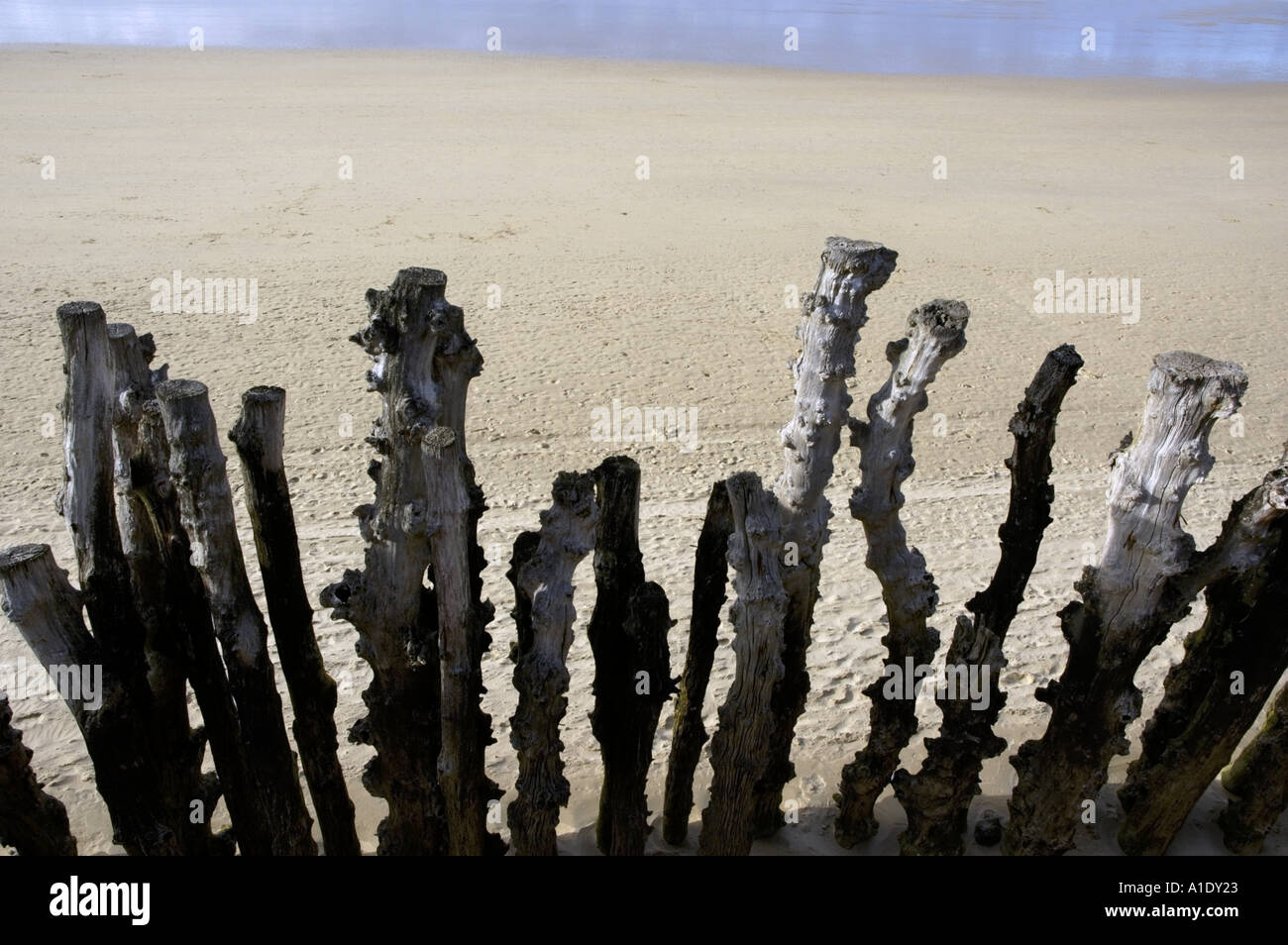 Stakes driven hi-res stock photography and images - Alamy