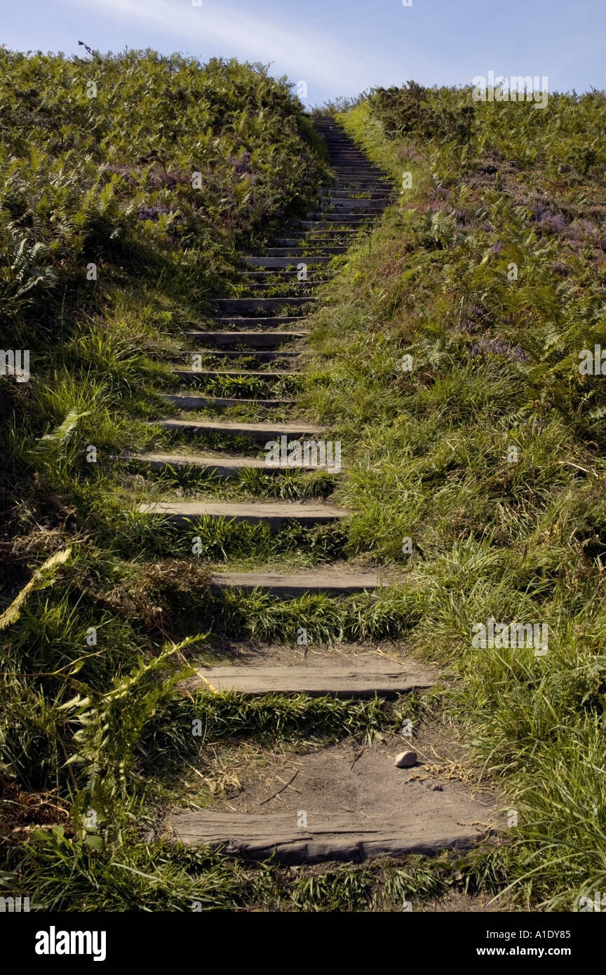 Walking on wooden stair trail hi-res stock photography and images - Alamy